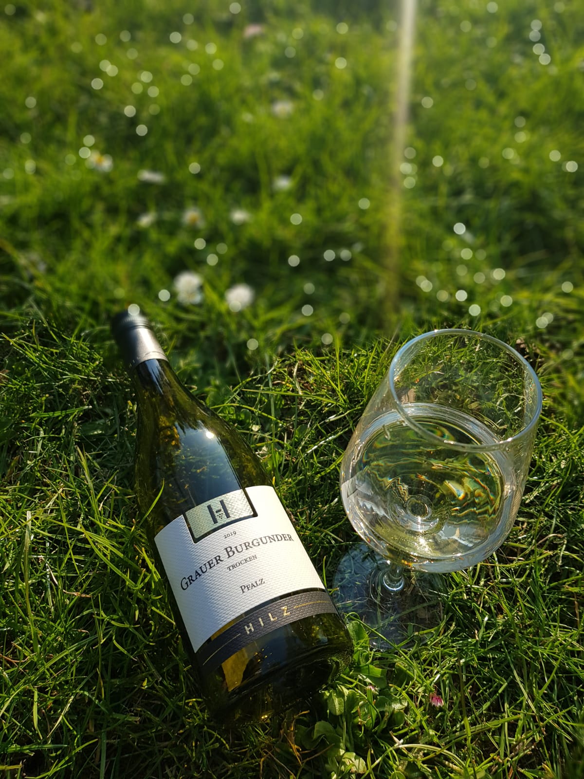 Eure Bilder sind gefragt! - Klaus HILZ: Weine aus Leidenschaft